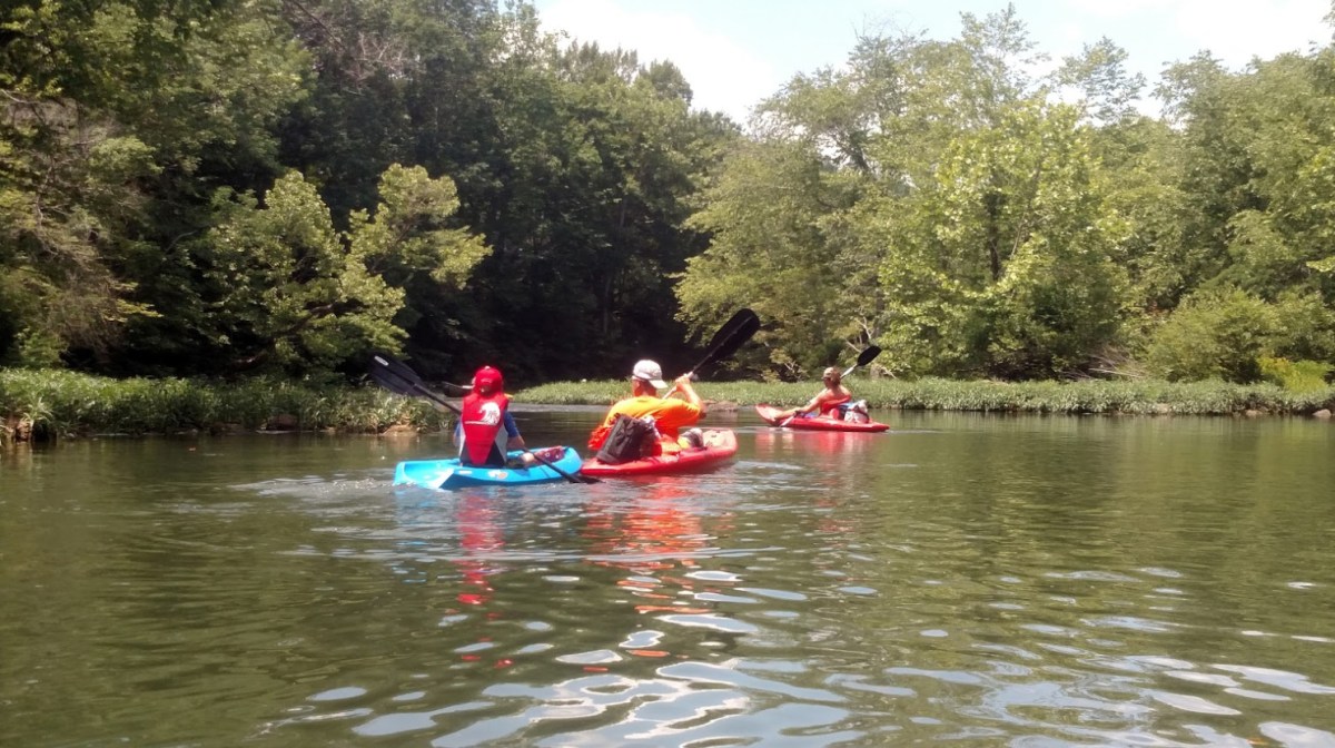 Visit Alabama's Redneck Yacht Club For The Ultimate Summer Adventure