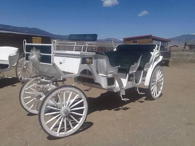 Nancy Burch’s Roadrunner Tours Offers Carriage Rides In New Mexico