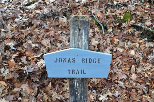 Jonas Ridge Trail In North Carolina Boasts Gorgeous Mountain Views