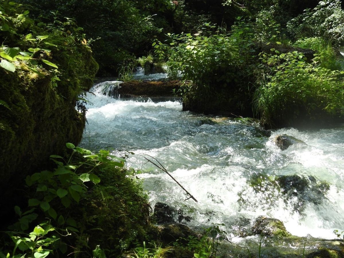 Spend A Leisurely Summer Day At Greer Spring In Missouri
