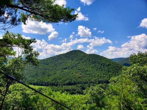 Whiz Through The Treetops At Zoar Outdoor Zip-Lining In Massachusetts