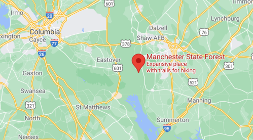Have A Blast Exploring Manchester State Forest In South Carolina