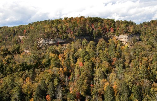 Red River Gorge Scenic Byway: The Most Scenic Drive In KY