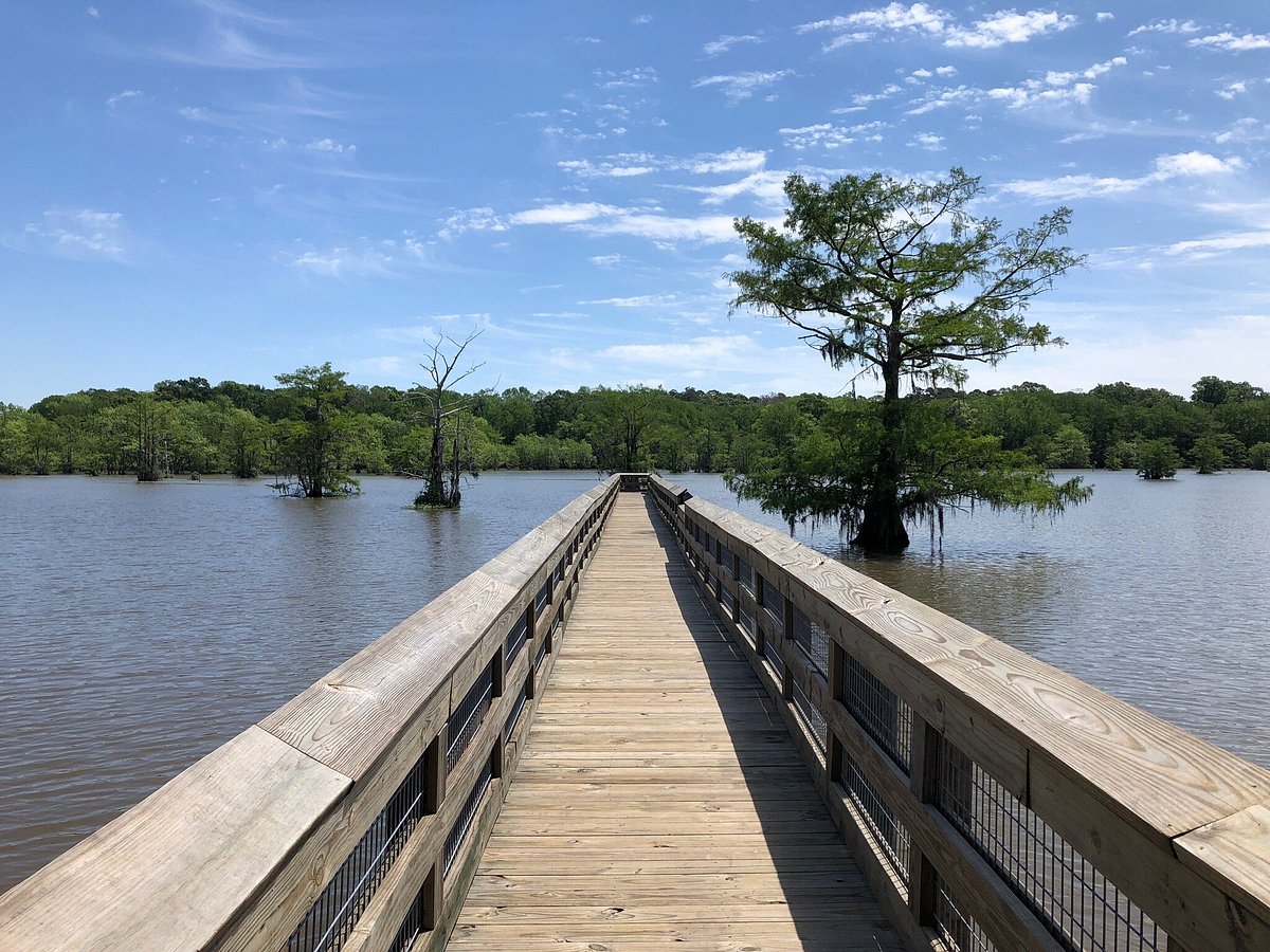 Chicot State Park Is The Single Best State Park In Louisiana