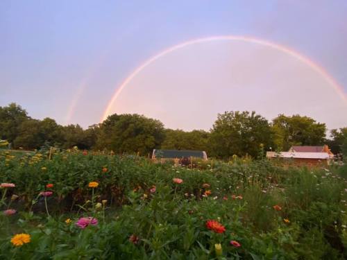 Pick Your Own Flowers At Gooseberry Bridge Farm In Missouri