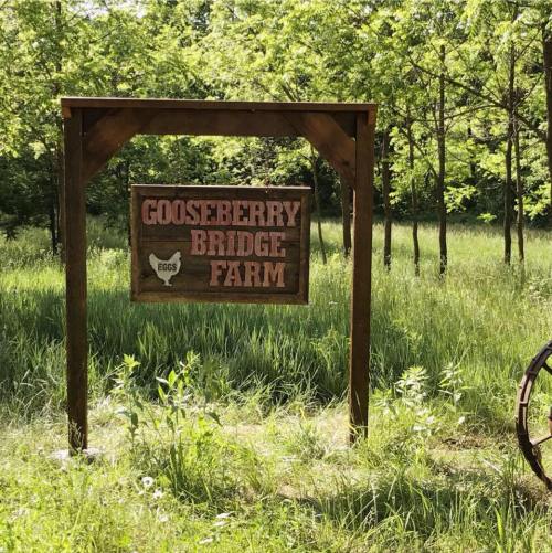 Pick Your Own Flowers At Gooseberry Bridge Farm In Missouri