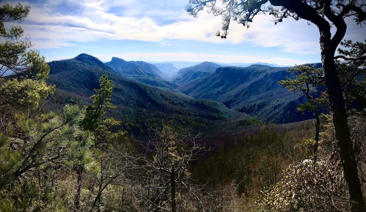 Jonas Ridge Trail In North Carolina Boasts Gorgeous Mountain Views