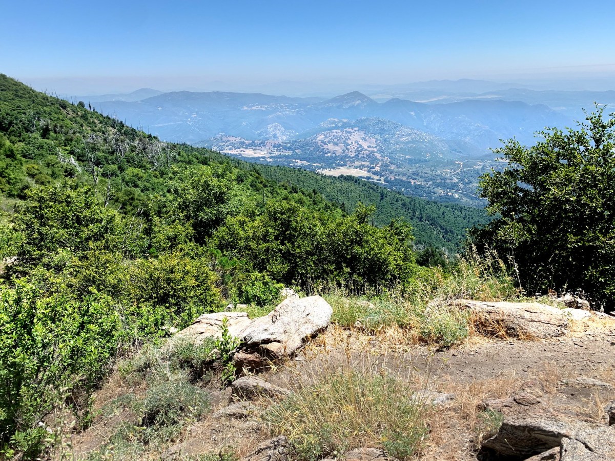 Cedar Trail Is A Beautiful Forest Hike In The Heart Of Southern California