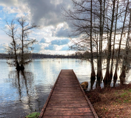 The Trail At Chicot State Park Will Lead You On An Enchanting Journey