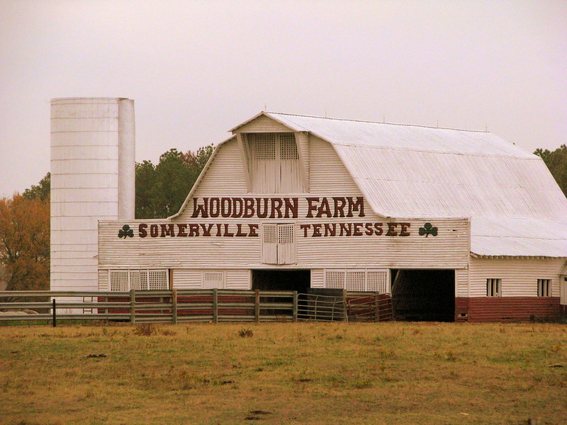 The Town Of Somerville In Tennessee Is Perfect For A Weekend Day Trip