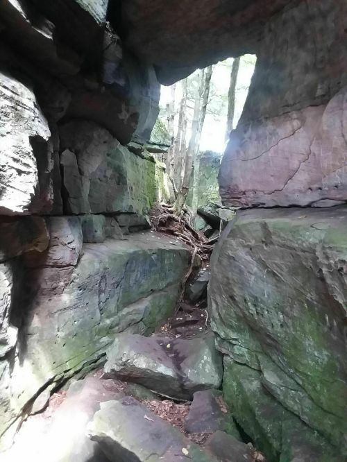 Hike Through This Rock Maze Near Pittsburgh For An Adventure