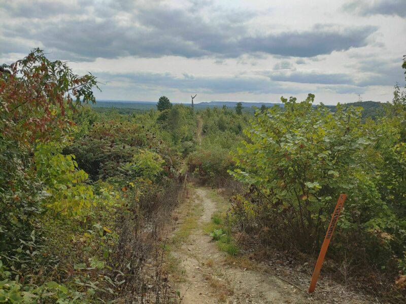 The Knobstone Trail Is One Of The Best Hikes In Indiana
