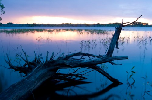 Family Fun at Calamus State Recreation Area in Nebraska