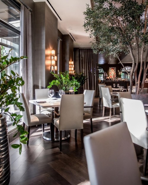 Culina Ristorante + Caffè In SoCal Offers The True Italian Experience