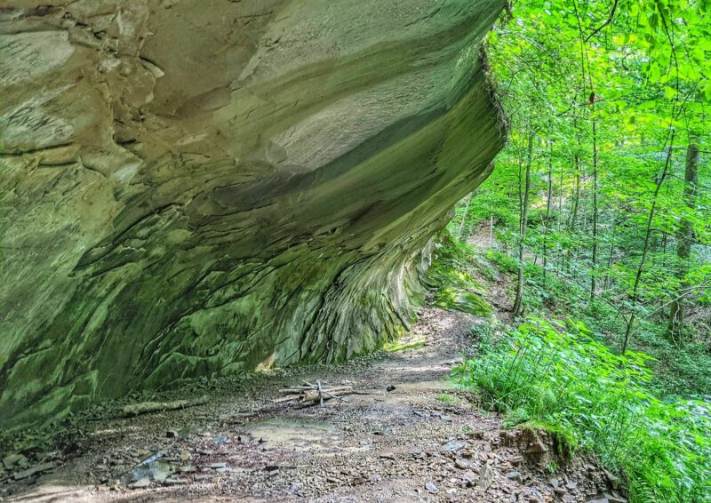 Get Ready To Conquer These 7 Epic Long Hikes In Indiana