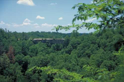 Red River Gorge Scenic Byway: The Most Scenic Drive In KY