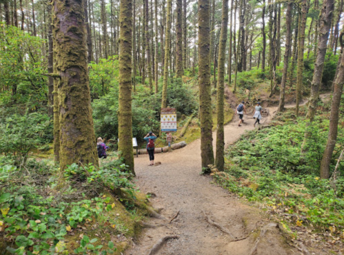 Hobbit Trail: An Easy Hike In Oregon That's Completely Magical