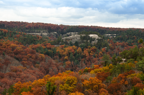 Red River Gorge Scenic Byway: The Most Scenic Drive In KY