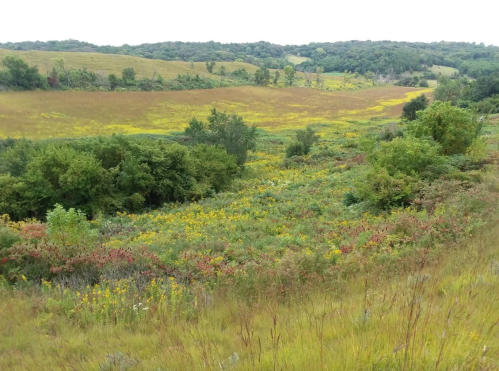 The Loess Hills Scenic Overlook In Iowa Is Breathtakingly Beautiful