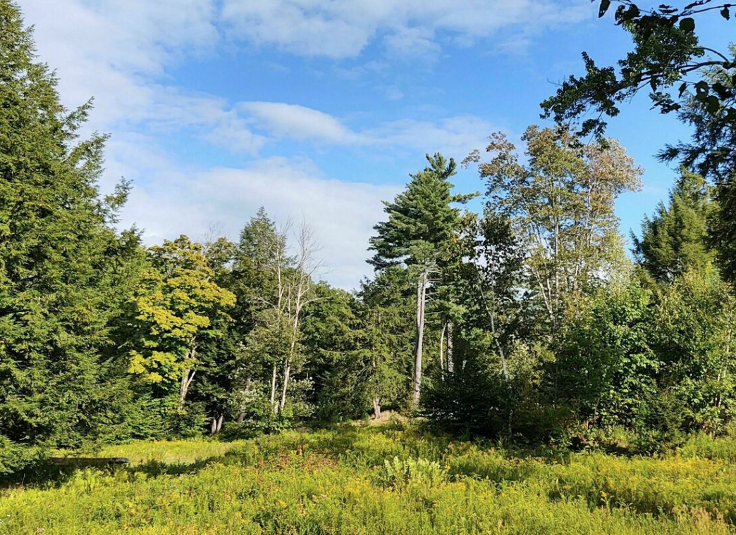 An Ideal Destination For A Family Outing, Sunset Rock Park In Stowe ...
