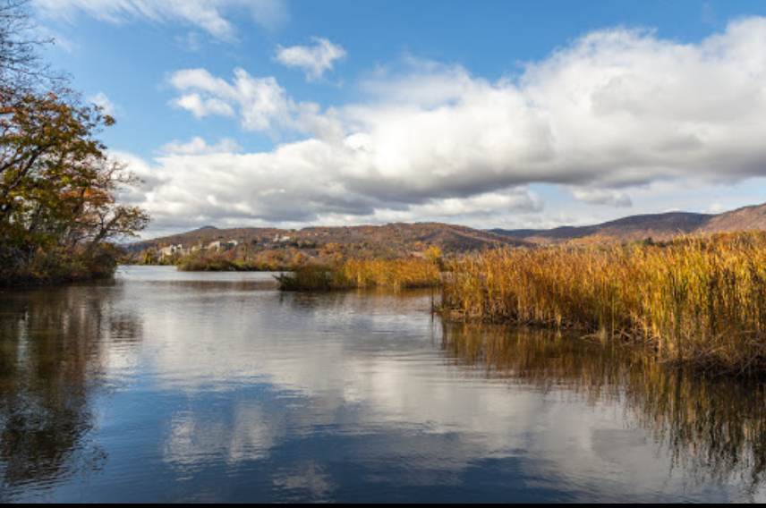 New York's Constitution Marsh Trail Leads To A Gorgeous Destination