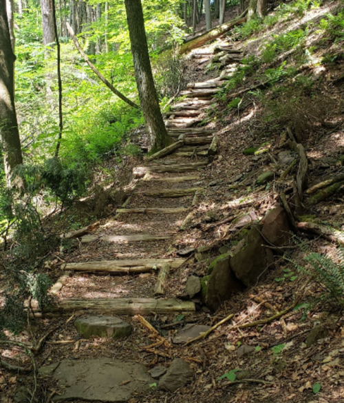 Take Short Hike On Van Campens Glen Trail To Waterfall