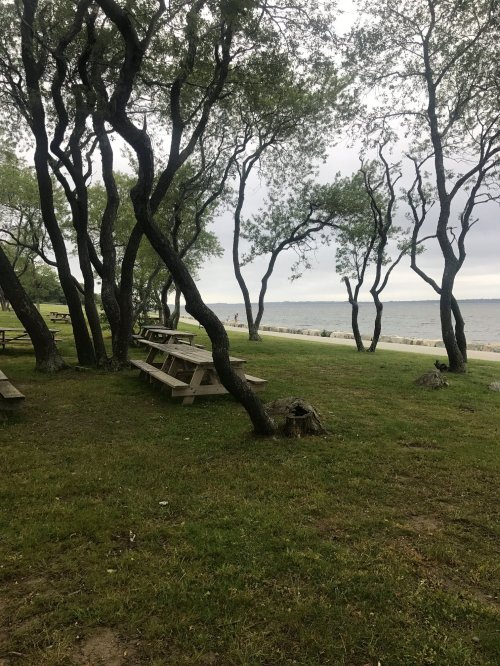Colt State Park Is The Single Best State Park In Rhode Island
