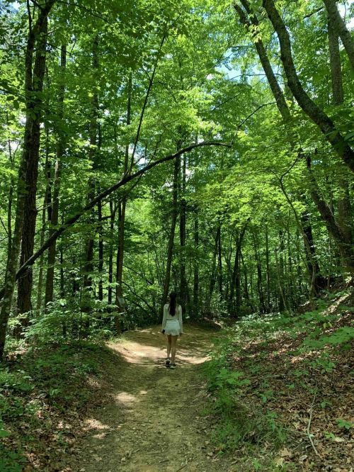 Hike The Green River Narrows Trail In North Carolina