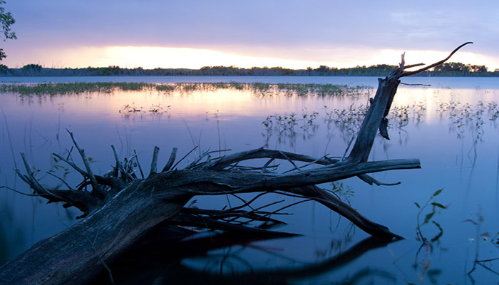 Family Fun at Calamus State Recreation Area in Nebraska