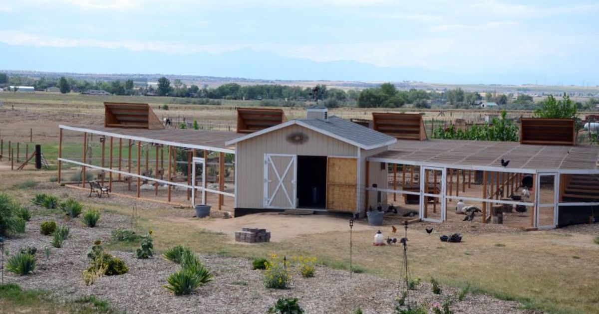 Mingle With The Peacocks And Baby Goats At Colorado’s Adorable ...