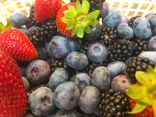 Pick Your Own Berries And Make Sweet Jam At Agape House Berry Farm In ...