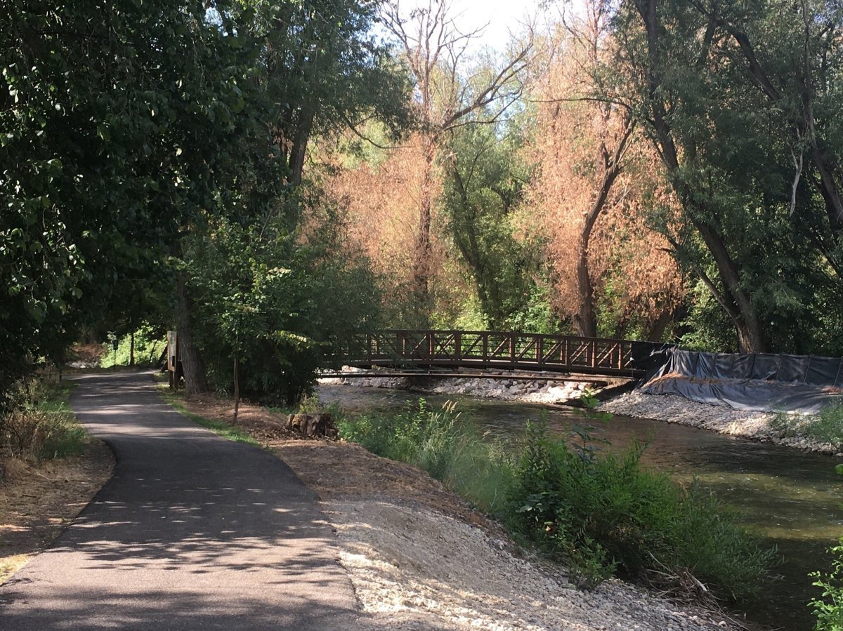 Stroll Along The Logan River Trail, A Shady Path In Logan, Utah