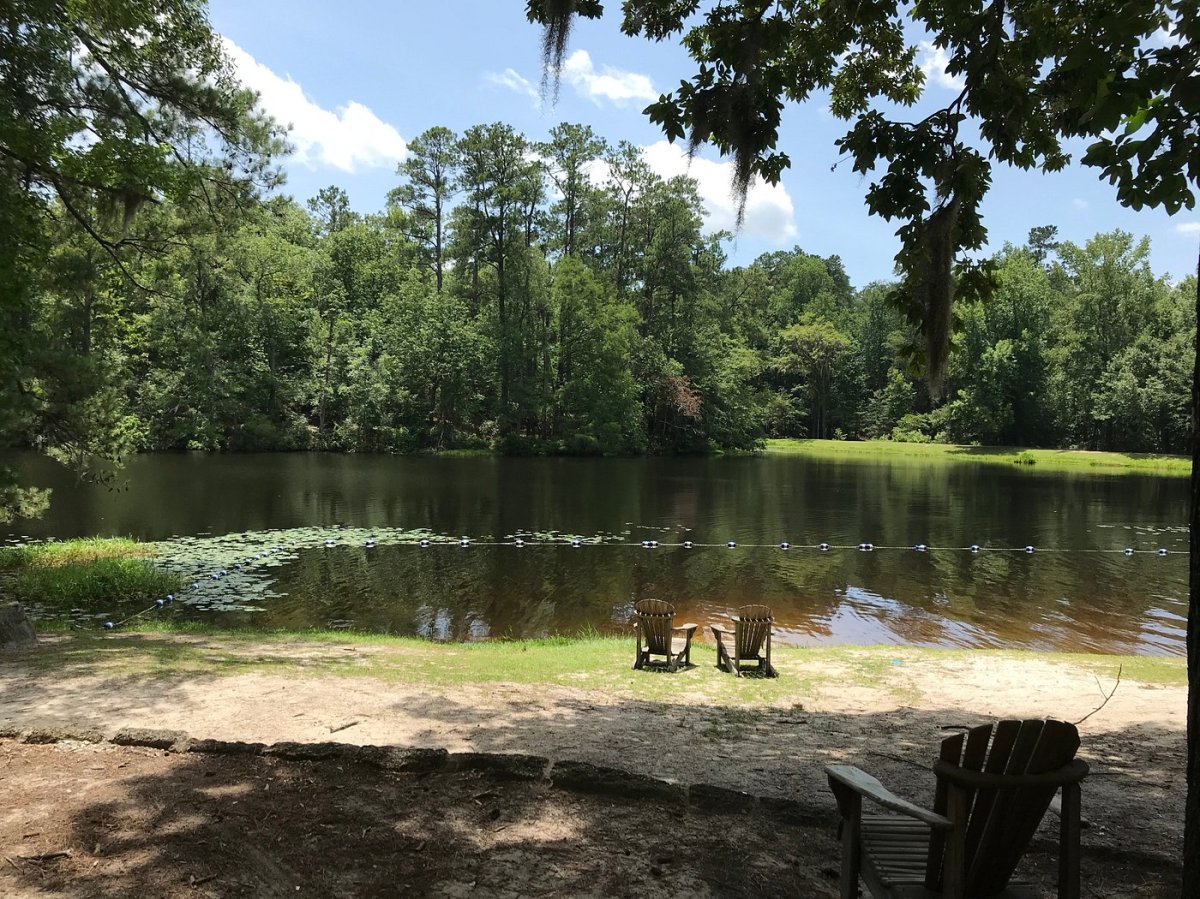 Have A Blast Exploring Manchester State Forest In South Carolina