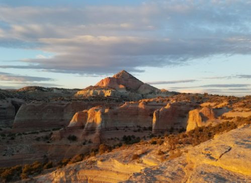 Red Rock Park Is The Best Park In New Mexico And You Must Visit