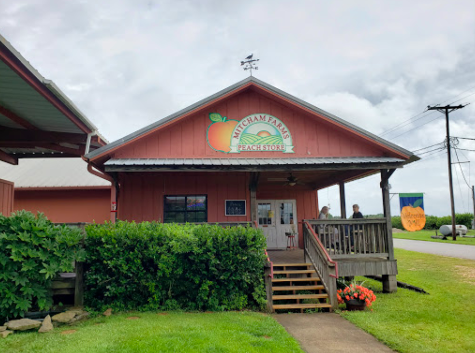 Visit Mitcham Farms, The Largest Peach Orchard In Louisiana