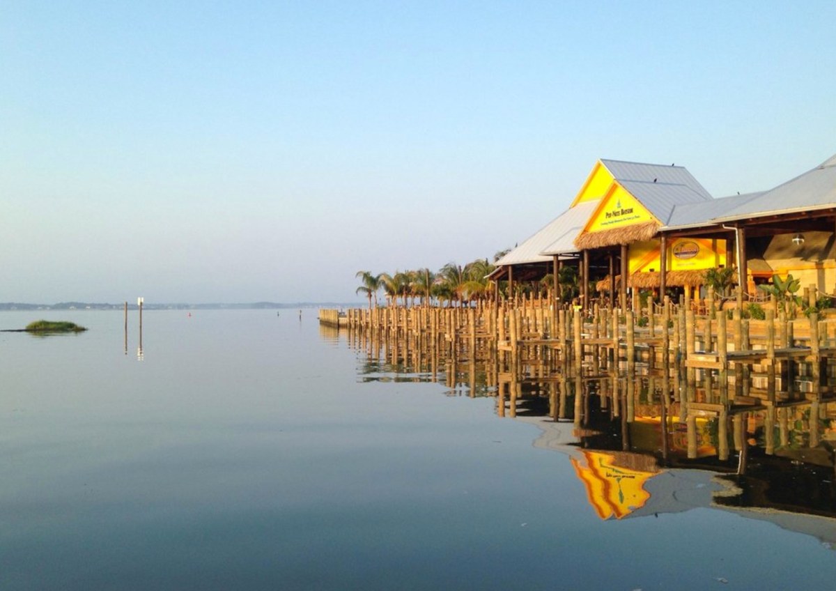 The Coolest Beach Bar In Delaware Is Paradise Grill In Long Neck