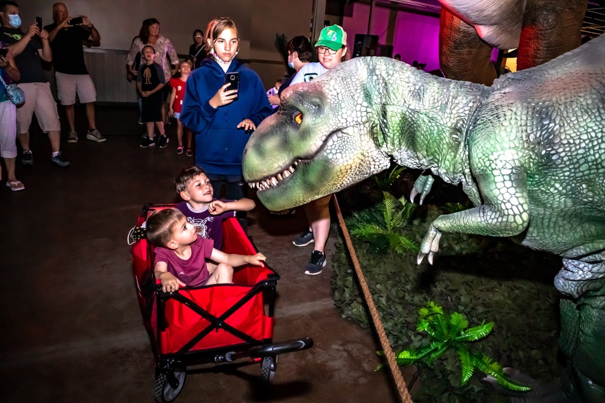 You Can Walk Around Life-Size Dinosaurs At Dino Stroll In Colorado