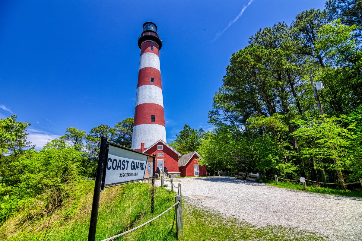 Chincoteague Island: One Of The Most Unique Small Towns In Virginia