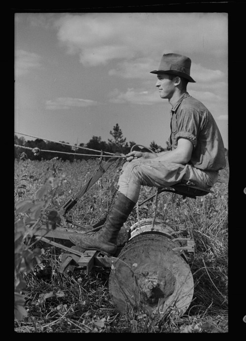 9 Historic Photos Highlighting Living In Georgia In The Early 1900s