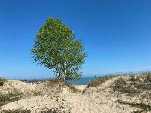 Scenic Rawley Point Trail In Wisconsin Leads To A Historic Lighthouse
