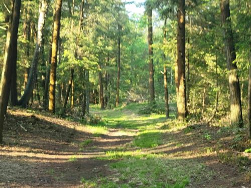 Scenic Rawley Point Trail In Wisconsin Leads To A Historic Lighthouse