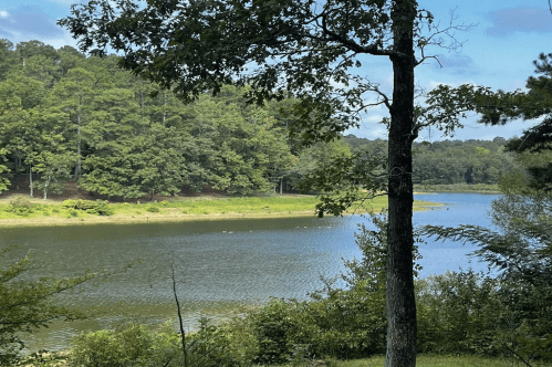 Discover Pontotoc on Mississippi's Tanglefoot Trail