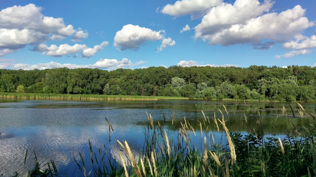 Explore Marsh And Prairie At Wood Lake Nature Center, A Small But ...