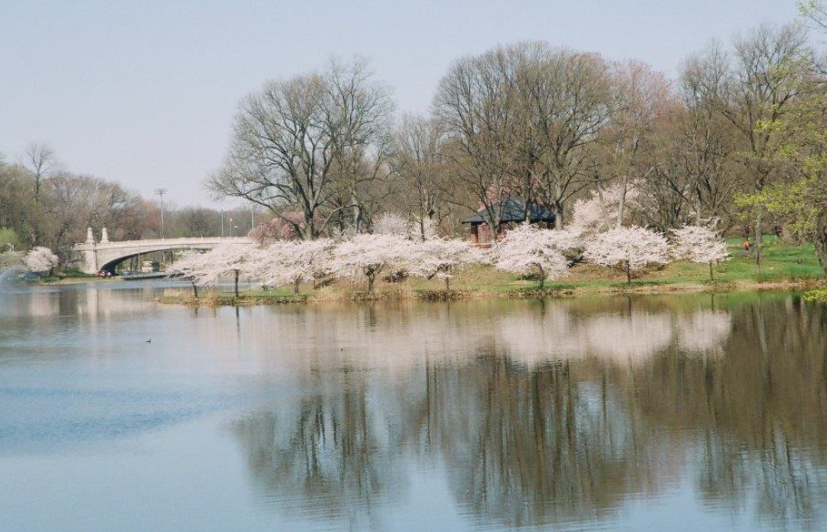 It’s Official: New Jersey’s Very Own Maplewood Is One Of The Country’s ...