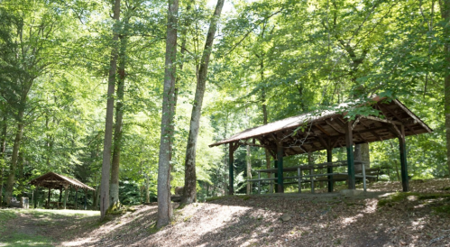 West Virginia's Drawdy Falls Is A Beautiful Boone County Hidden Gem