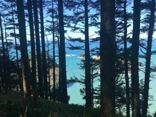 This Secret Black Sand Beach in Oregon Is Beyond Spectacular