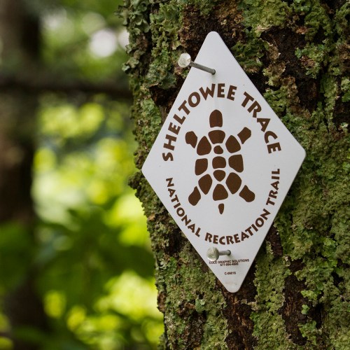 Morehead: One Of The Most Charming Destinations In Kentucky