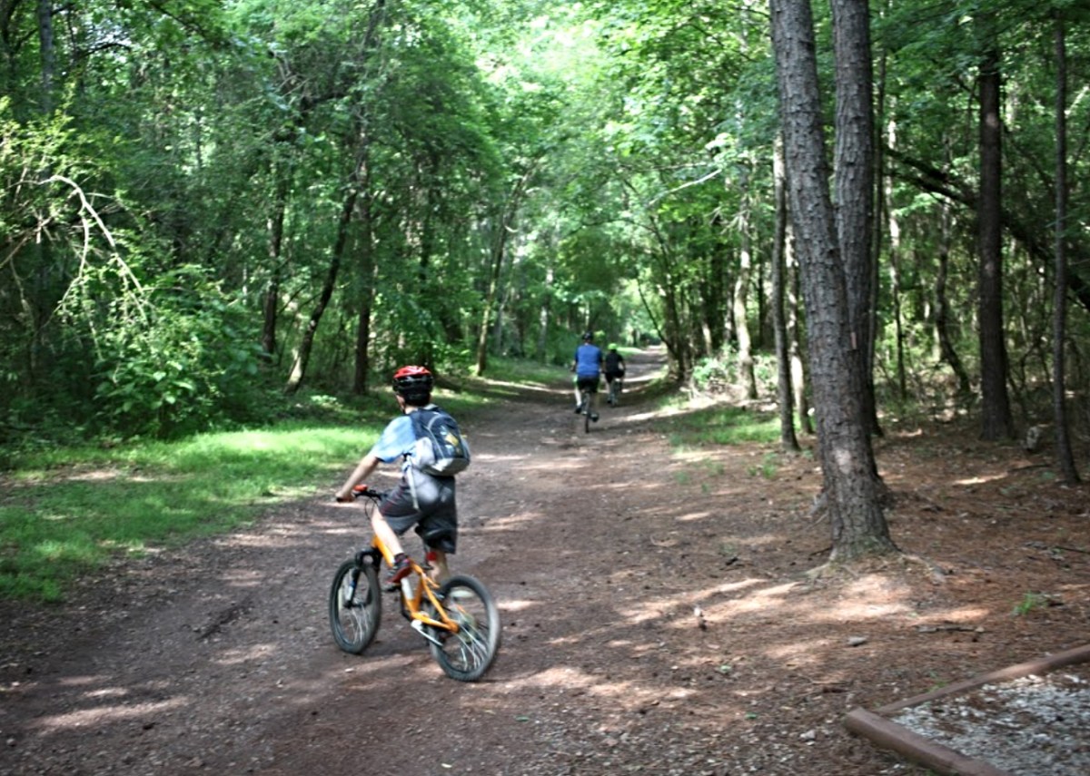 Go Hiking Or Biking At Red Mountain Park In Alabama