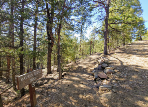 You Will Never Run Out Of Trails To Explore At Reynolds Park In Colorado