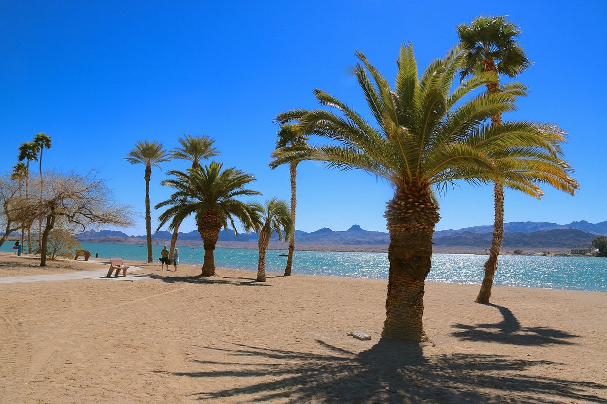 Rotary Community Park Is A Beachfront Attraction In Arizona You’ll Want ...